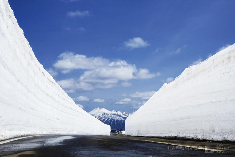 Hachimantai Snow Corridor - kingdom of winter trip TOHOKU WINTER PLAY ...